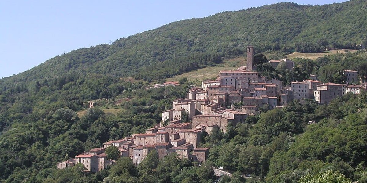 California Earthquake Today: Harnessing Community Networks for Real ...