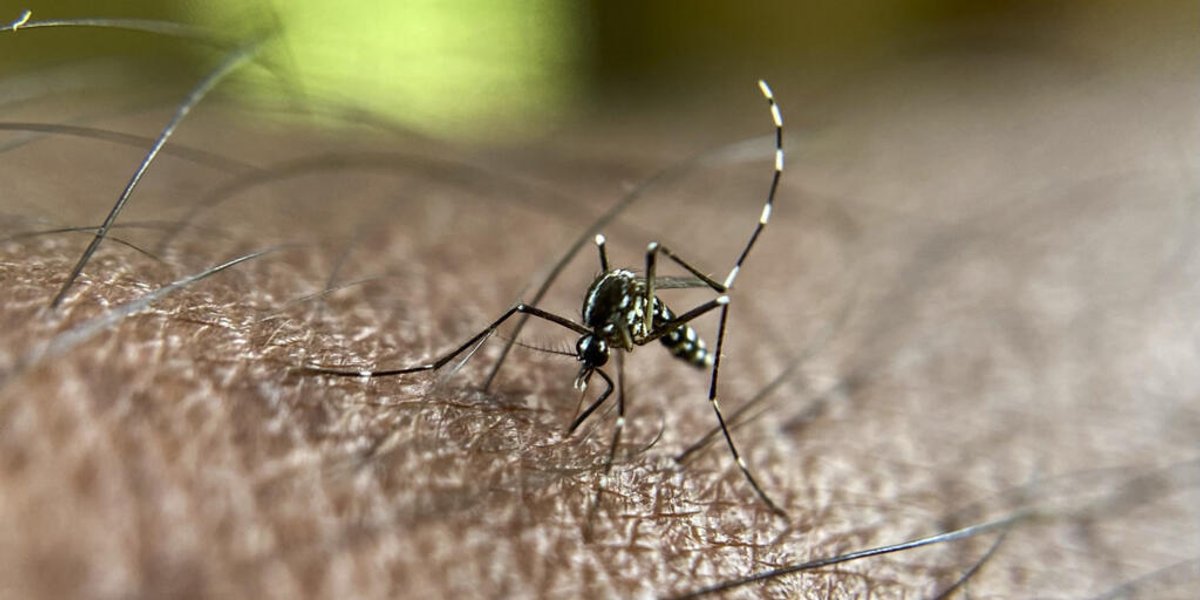 Interconnected Epidemics: Vector-Borne and Waterborne Diseases Driving ...